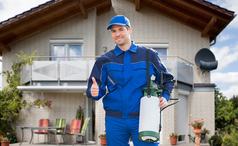 Top 5 Tips for Effective Pest Control in Coastal Areas - Lowcountry ...